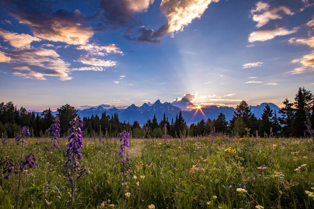 3 Reasons You Should Visit Jackson Hole This Summer - The JQ List